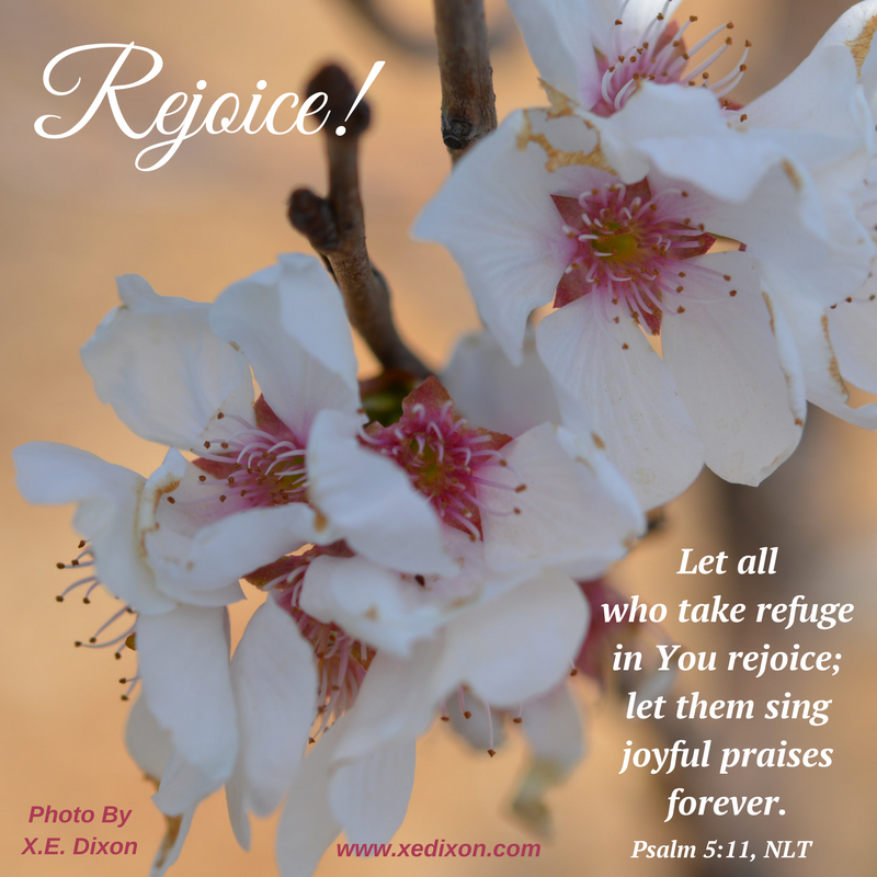Prayer Xochi E Dixon